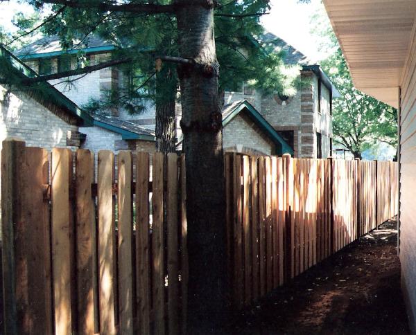 Elegant Fence Solutions